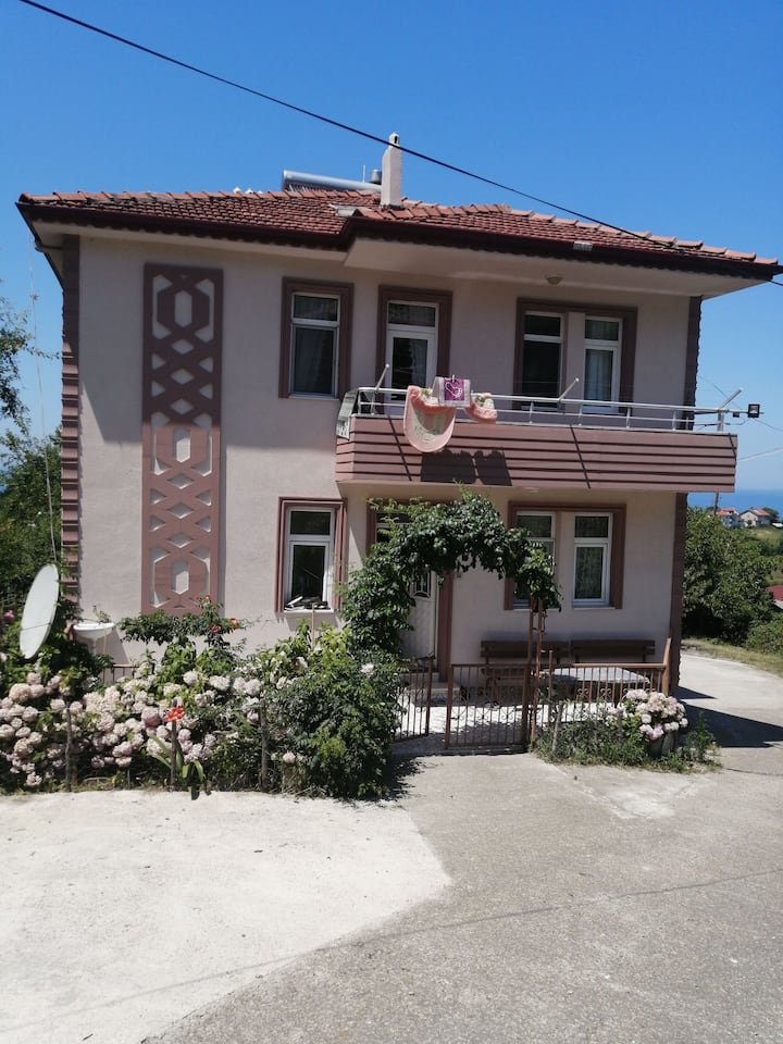 Maviye Yeşilin Buluştuğu Mekan - Amasra