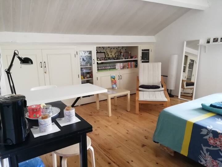 Chambre Privée Dans Maison Chaleureuse - Montbrison
