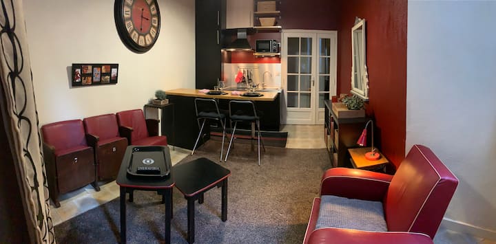 Gîte "Dans Les Pas De J. Verne" Plein Centre Ville - Nantes