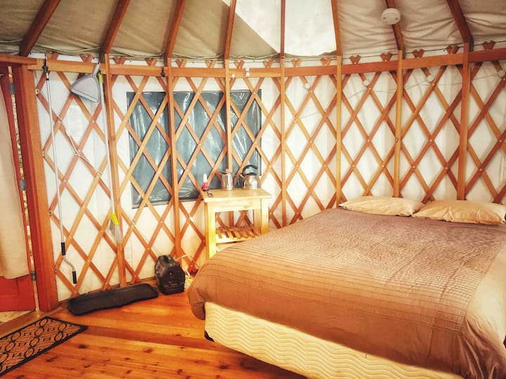 Top 4 Glamping Spots Near Tofino, Canada - Updated 2025 | Trip101