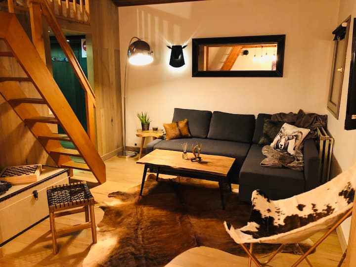 Cosy Duplex With Hammam/steamroom In Rochebrune - Flumet