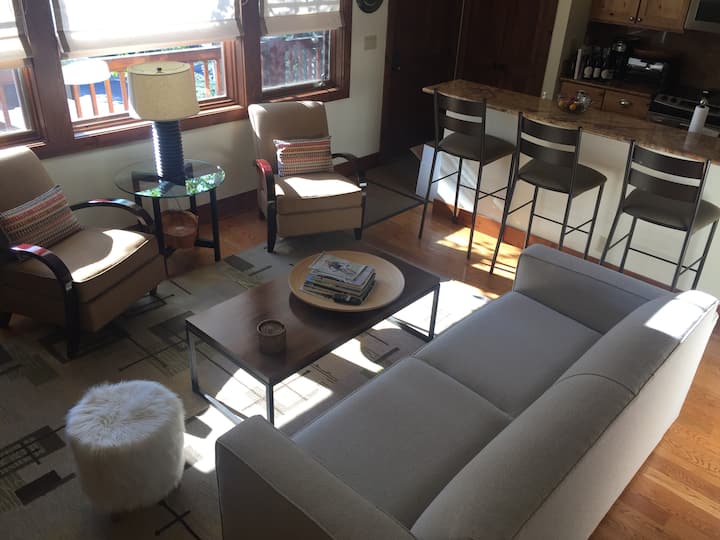 Newly Remodeled 1br Mountain Contemporary + Loft - Aspen, CO