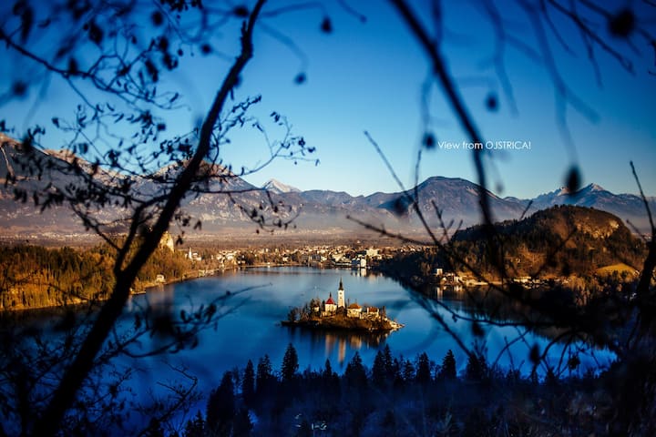 Apartment Under The Castle - Bled