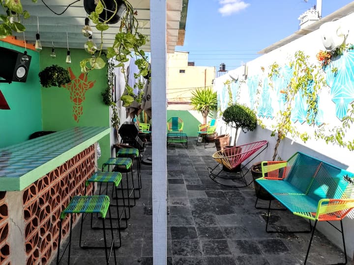 Entire Hostel With Breakfast Included! - Querétaro