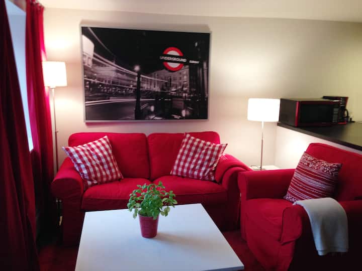Spacious One Bedroom Apt In Downtown Troy - Troy, NY