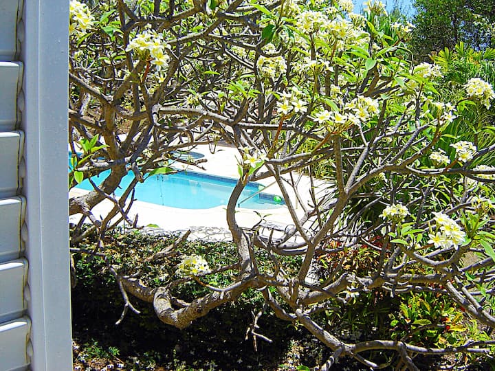 Chancery Lane Great House Christ Church - Barbados