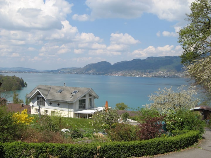 Apartment With Grate Views Of Lake And Mountain - Thun