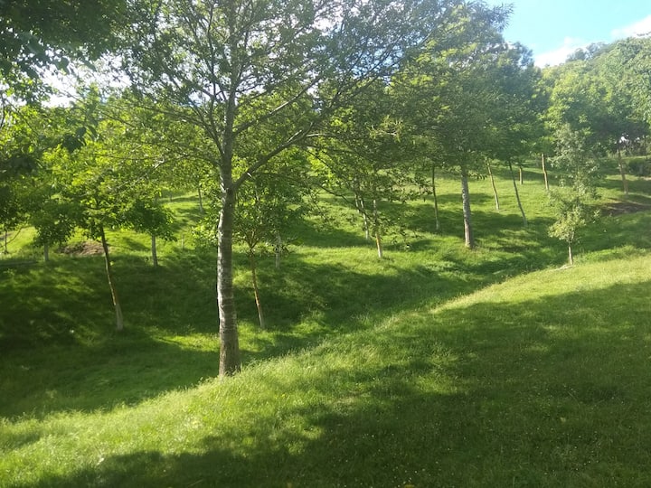 Se Alquila Casa En  Los Ancares. - Balboa