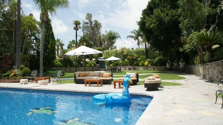 Arecas Cuernavaca - Cuernavaca