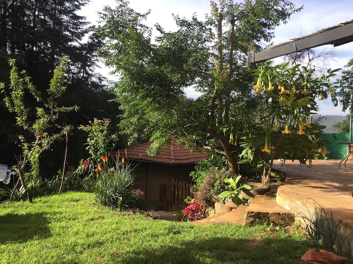 Cozy Beautiful Cottage In The Forest - San Cristóbal de Las Casas