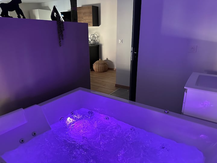 Le Petit Loft - Le Puy-en-Velay