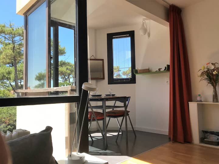 Charmant Studio Triangle D'or Capbreton Port/plage - Hossegor