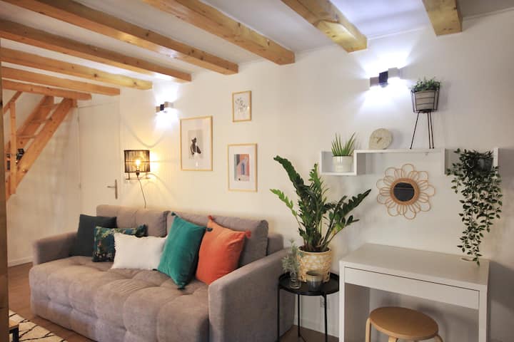 Appartement Avec Mezzanine Proche Palais Et Pont - Avignon