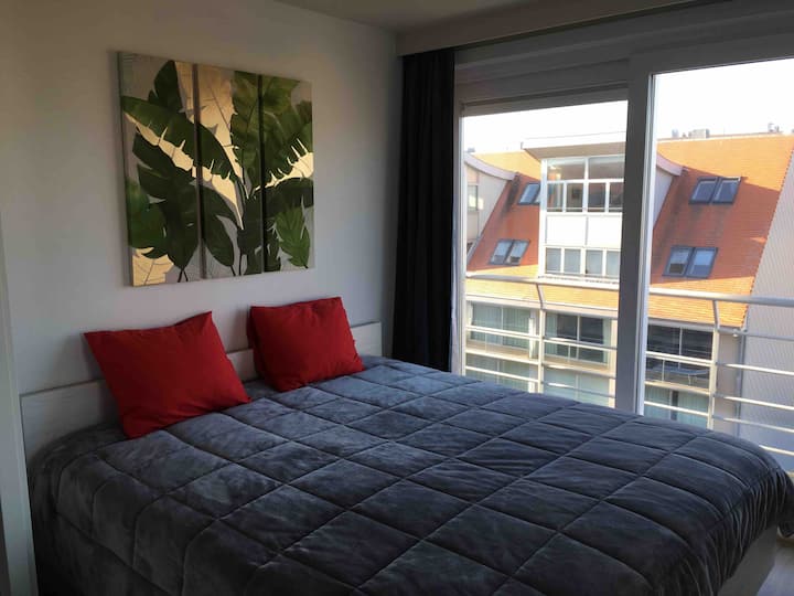 Appartement Met Zeezicht. - Nieuport