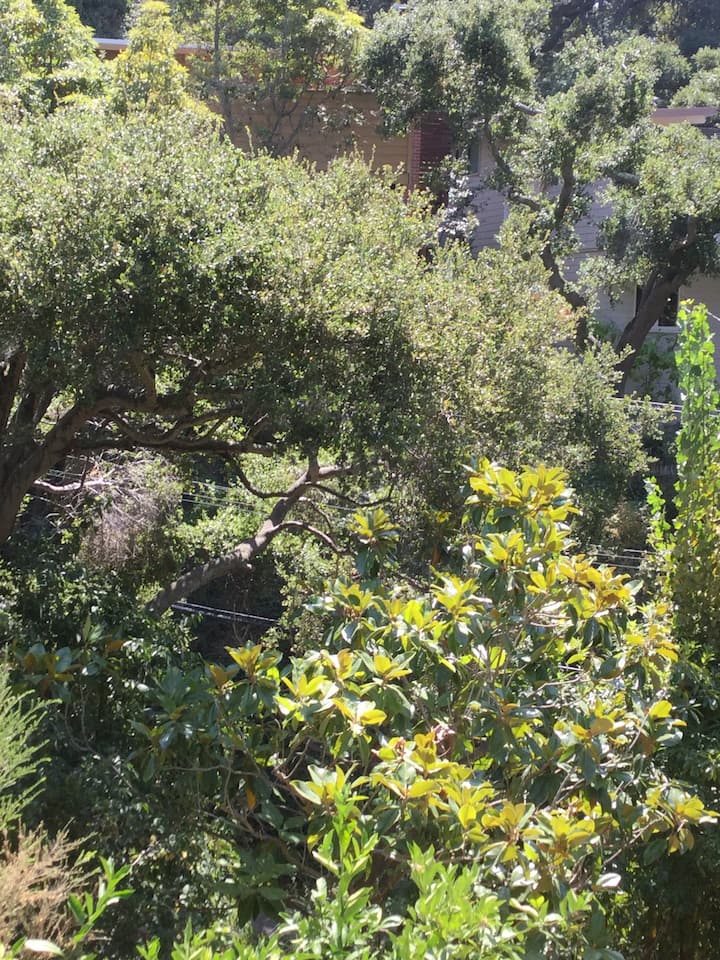 Hidden Gem - Oakland, CA