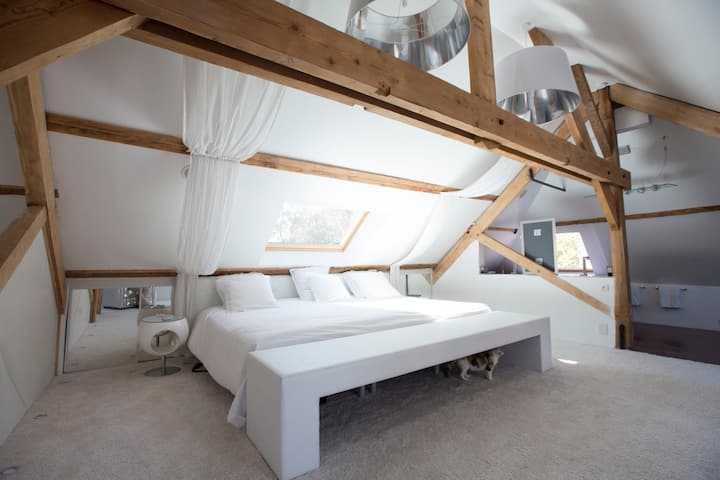 Suite Avec Jacuzzi à 5min De L'hypercentre Du Mans - Le Mans