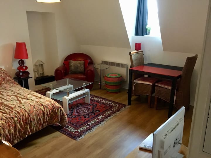 Appartement Cosy En Plein Centre De Dijon - ディジョン