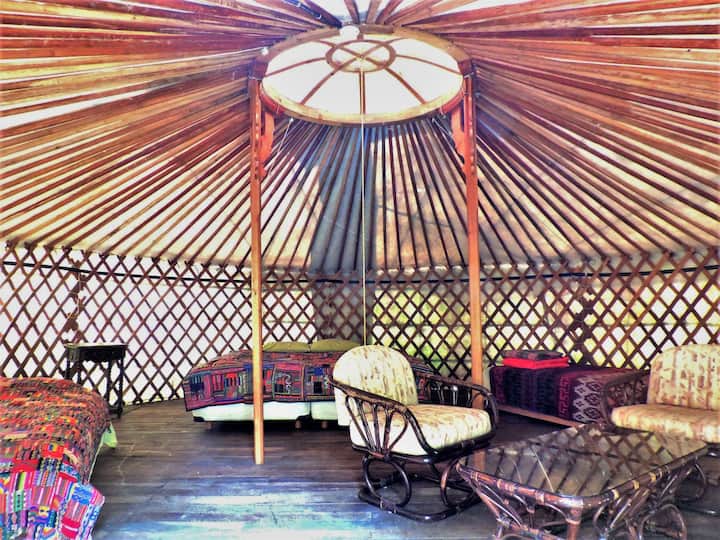 Top 9 Yurts in Mexico - Updated 2024 | Trip101