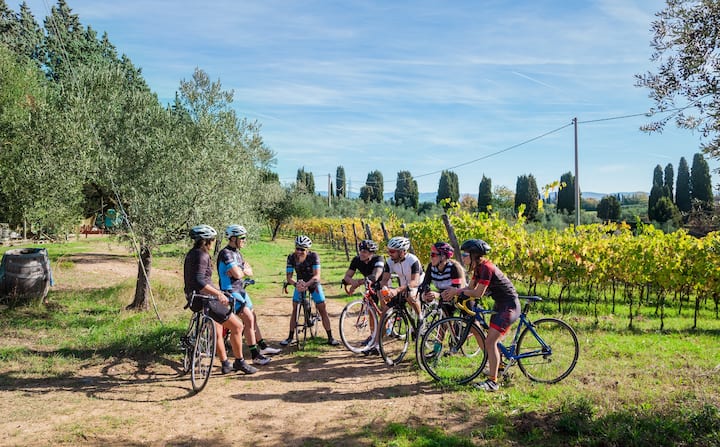 Things to do in Florence | Experiences, Activities, Tours & More ...