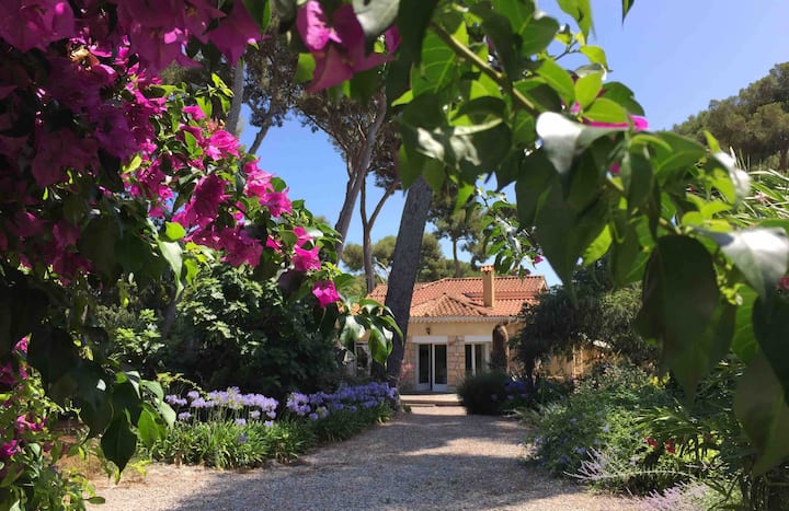 Cap D'antibes, Villa De Charme Dans Une Pinède - Antibes