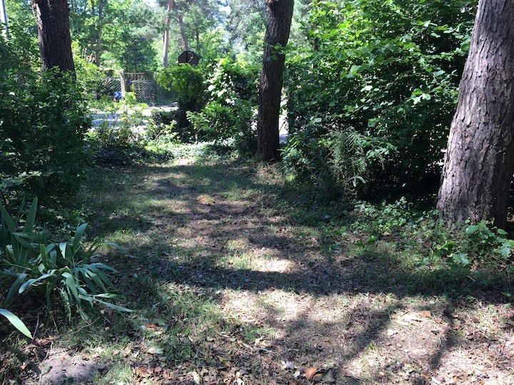 Aire Pour Van/camping-car, Foret De Fontainebleau - Milly-la-Forêt