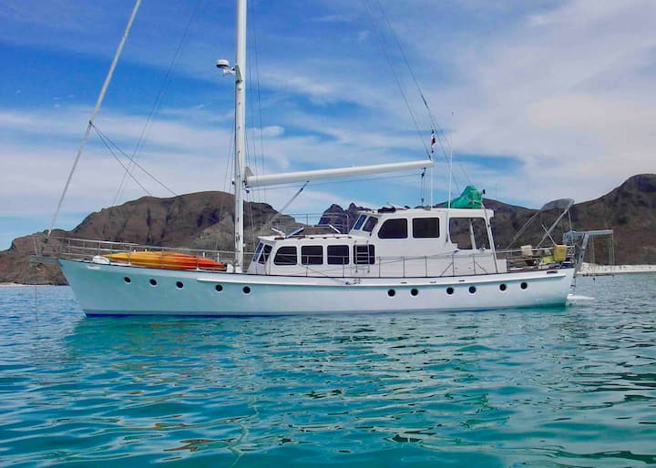 Gorgeous Day Trip To Bahia Balandra - La Paz, Mexique