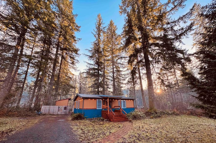 Mount Rainer Creekside Cabin Dog Friendly - Ashford, WA