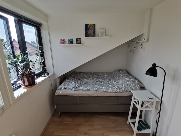 Room, Walking Distance To City Center. - Oslo
