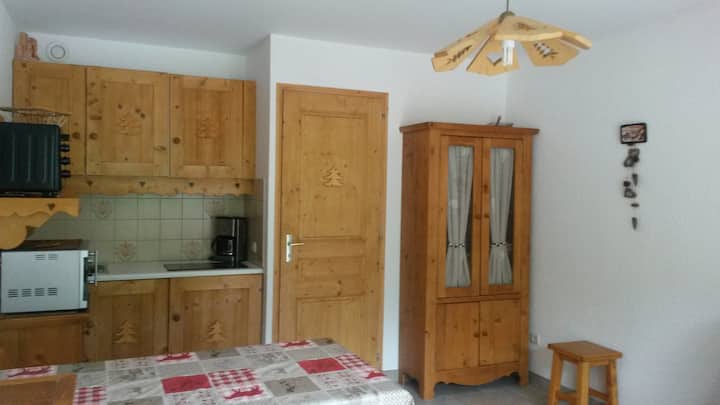 Appartement Parking 200 M Des Pistes - Châtel