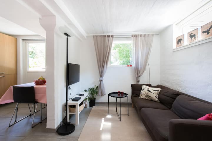 Bright Ground Floor Flat Near City, University, Bi - Oslo