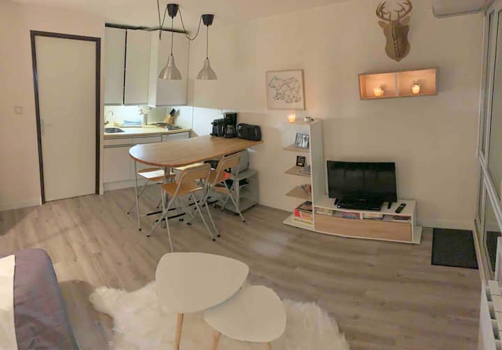 Appartement 4pers+garage - Pic du Midi