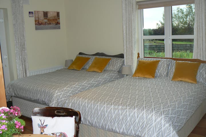 Loughville Lodge - Ennis