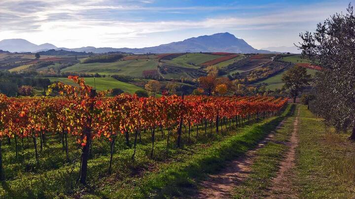 Teora Holiday Rentals & Homes - Campania, Italy | Airbnb