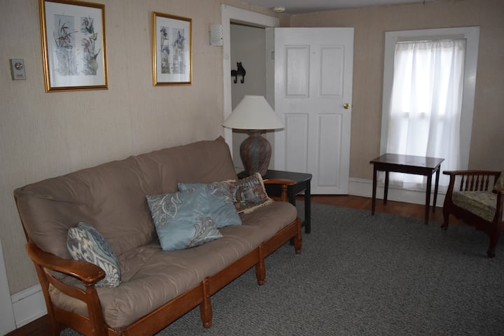 Spacious Apartment Near Waterfront. - Watkins Glen State Park, Watkins Glen