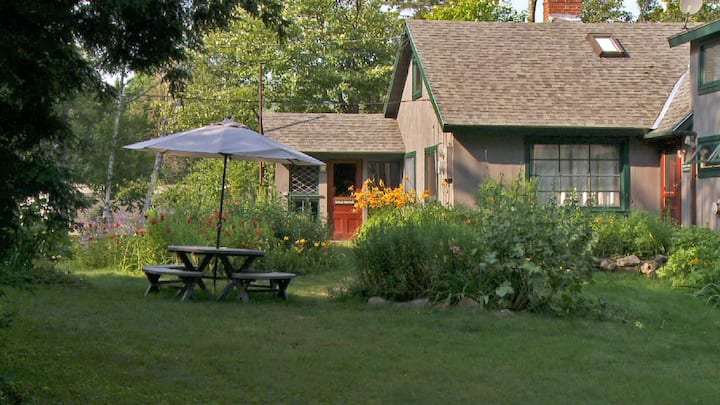 Cole House In Stratton  On Private Pond. - Jamaica, VT