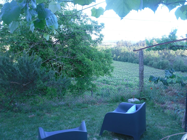 Holidays In Ponte De Lima-casa Delá - Ponte de Lima