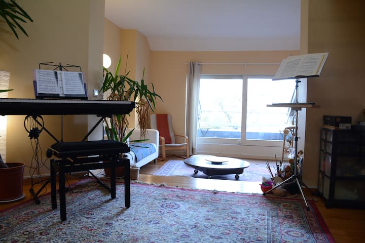Chambre à Louer Dans Un Penthouse - Ixelles