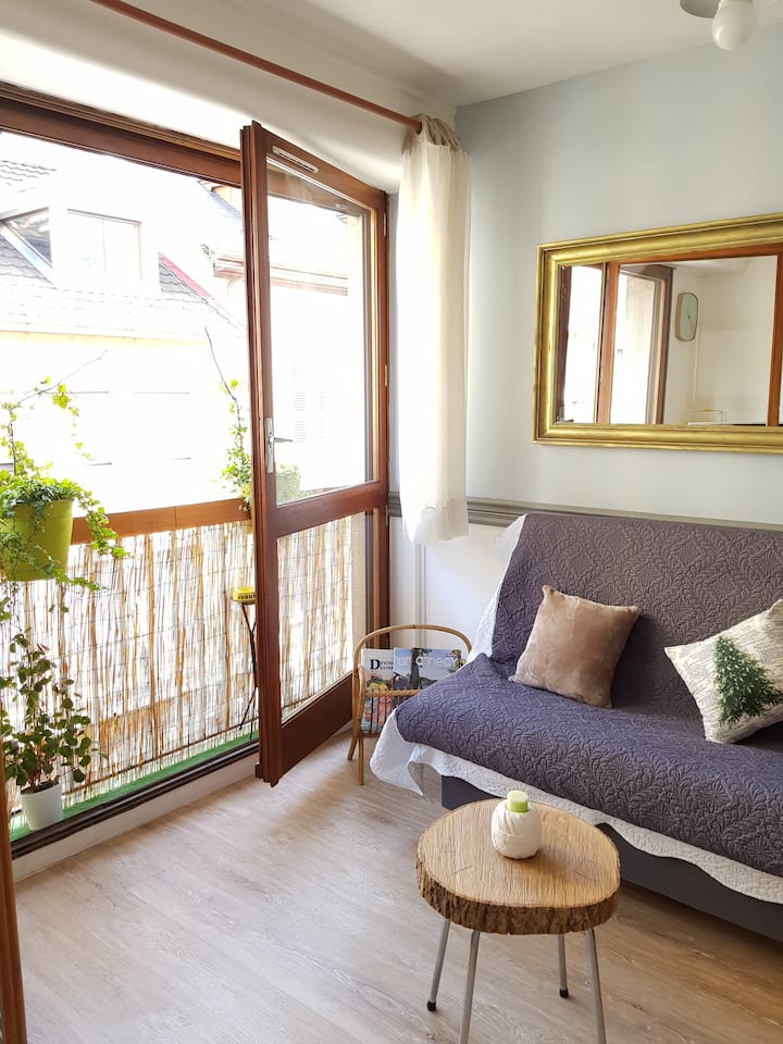 Meublé Tourisme Trois éToiles, Centre Historique. - Annecy