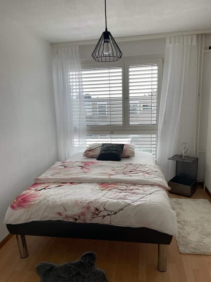 Nous Louons Une Chambre - Morges