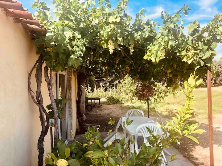 Magnifique Cabanon Provençal Au Calme Des Cigales - Var