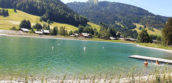 Joli Appartement à La Montagne - Flumet
