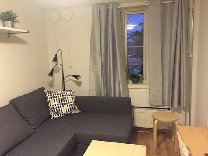 Sentralt Beliggende Studio I Trondheim. - Trondheim