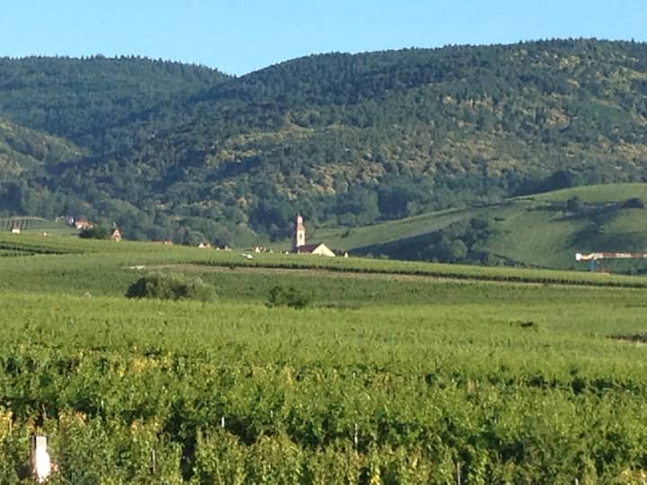Private Cosy Flat In The Heart Of Alsace Vineyard - Parc de Schoppenwihr