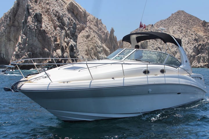 Luxury Yachts 36/47 Ft Searay Sundancer Cabomarina - Cabo San Lucas