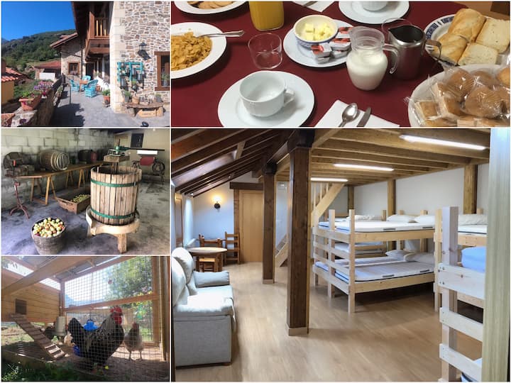 Hab. Albergue Grupo Hasta 15 Con Baño + Desayuno - Potes