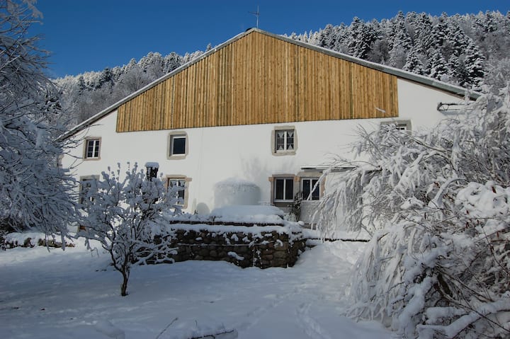 Studio 2/3 Personnes La Bresse - Xonrupt-Longemer