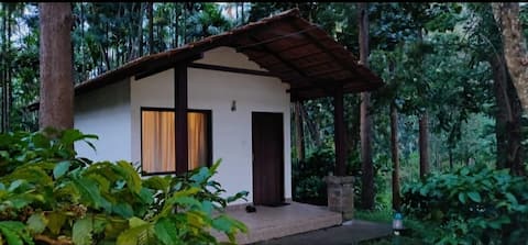 Bandipur Holiday Rentals & Homes - Karnataka, India | Airbnb