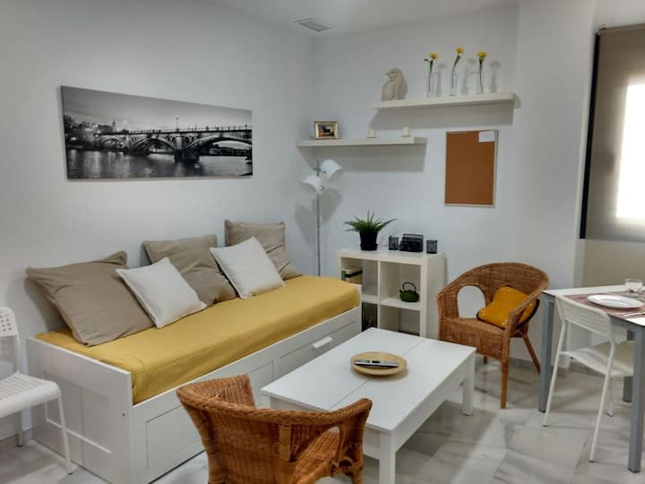 Segura Donkey - Séville