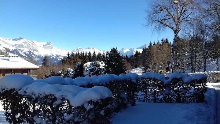 Appartement Sur Les Pistes à Combloux - Cordon