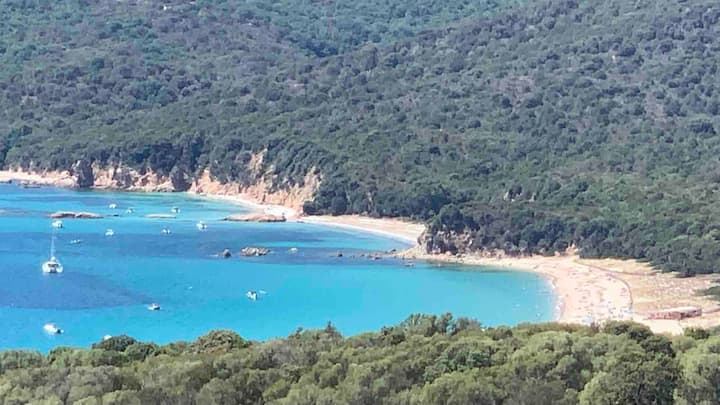 Appartement Vue Mer Et Maquis Corse Du Sud - Serra-di-Ferro